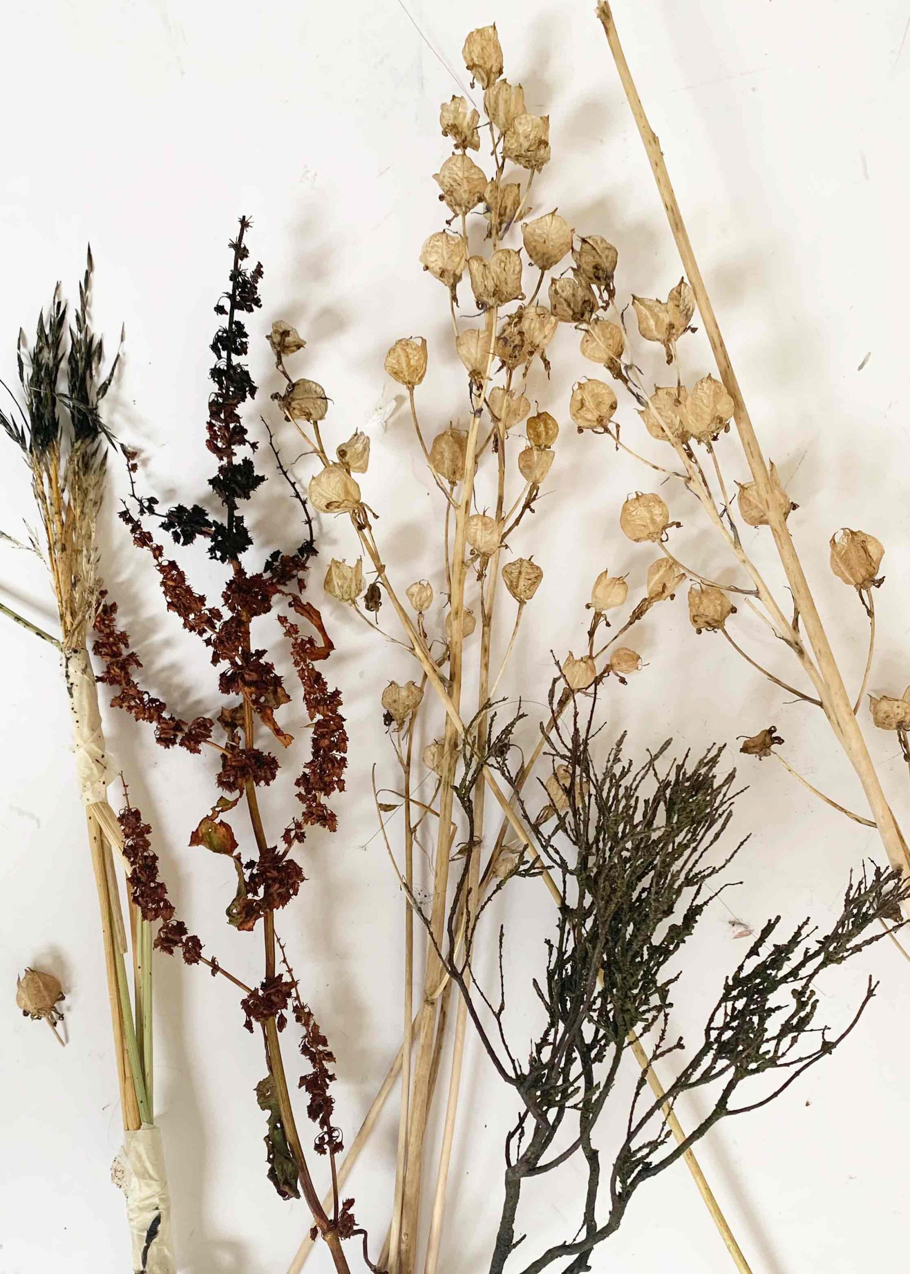 Natural tools for art making Jeanne-Marie Persaud Abstract Artist